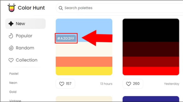 Cách sử dụng bảng màu trên Canva và lấy mã màu bên ngoài