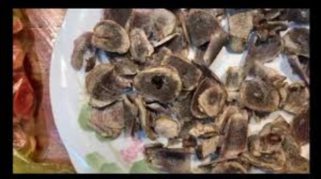 Cách sấy nhung hươu bằng lò vi sóng: Tác dụng và cách làm đúng cách